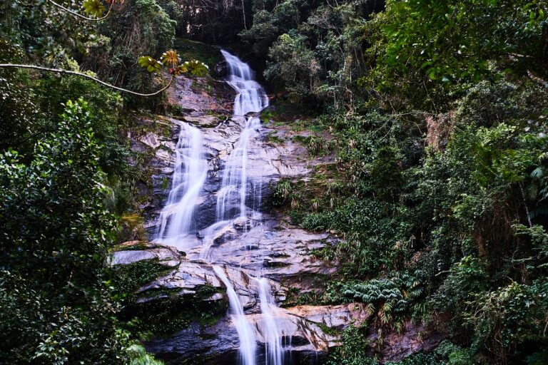 Discover the Best Waterfalls in Rio de Janeiro | Rio Cultural Secrets